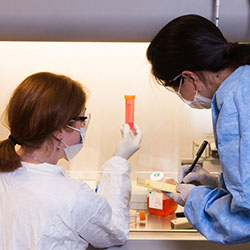 Center for Global Infectious Disease Research